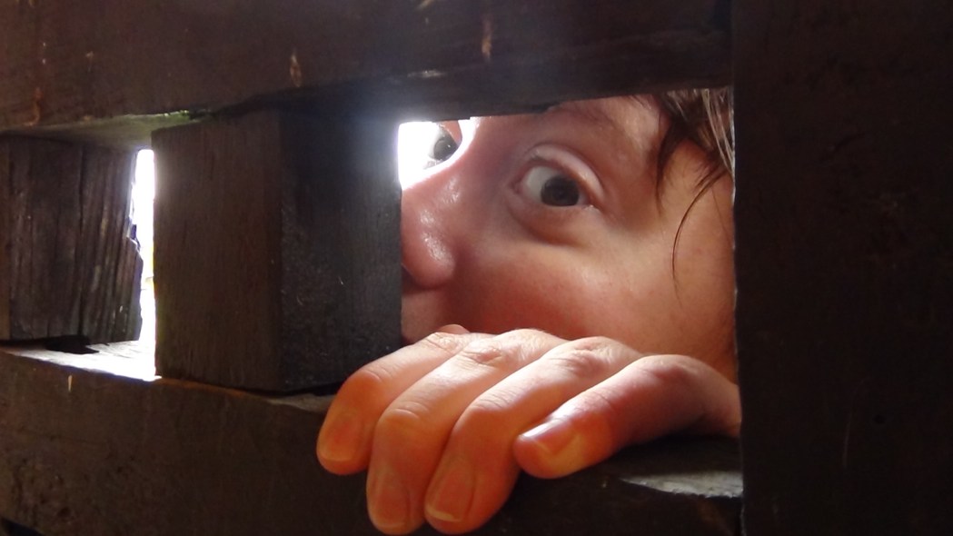 Contemporanii | Maria Grigorescu