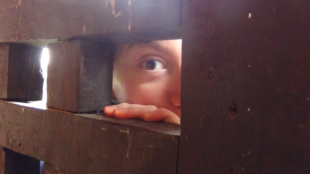 Contemporanii | Maria Grigorescu