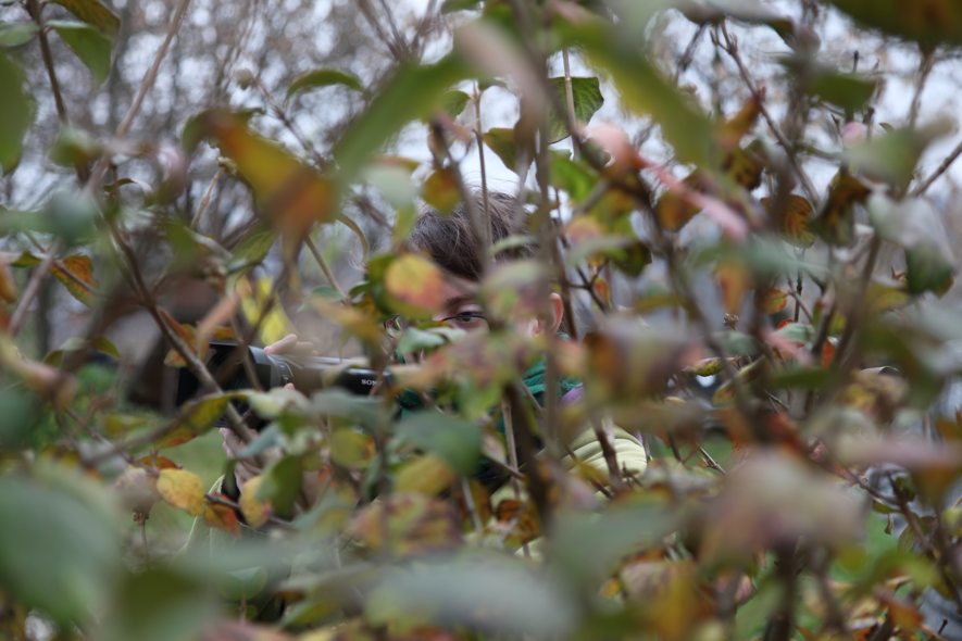 Contemporanii | Maria Grigorescu