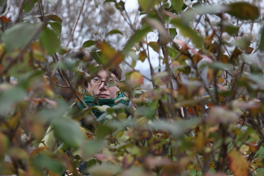 Contemporanii | Maria Grigorescu