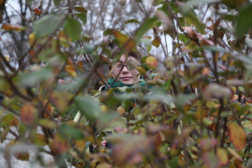 Contemporanii | Maria Grigorescu