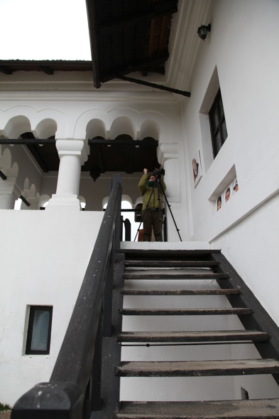 Contemporanii | Maria Grigorescu